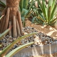 RibRave 15lb Natural River Rocks Decorative Rocks for Plants and Garden ...