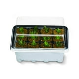Vegetable Garden Seed Starter Kit - Walmart.com