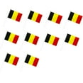 Knfih Small Mini Flags 10 Pack Hand Held Belgian Flags Festival Events ...