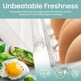 Home Intuition 24 Slot Egg Organizer Storage Box, Large Food Keeper for ...