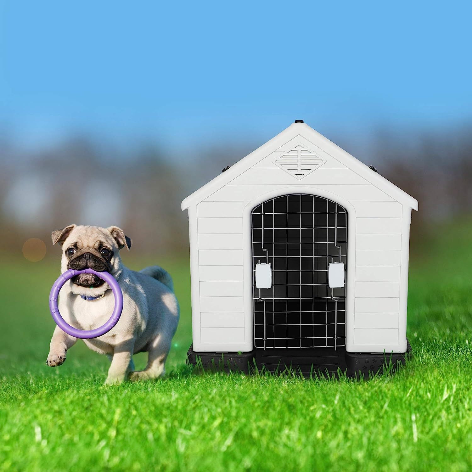 Bilot Plastic Outdoor Dog House with Door for Pet Weatherproof Kennel ...