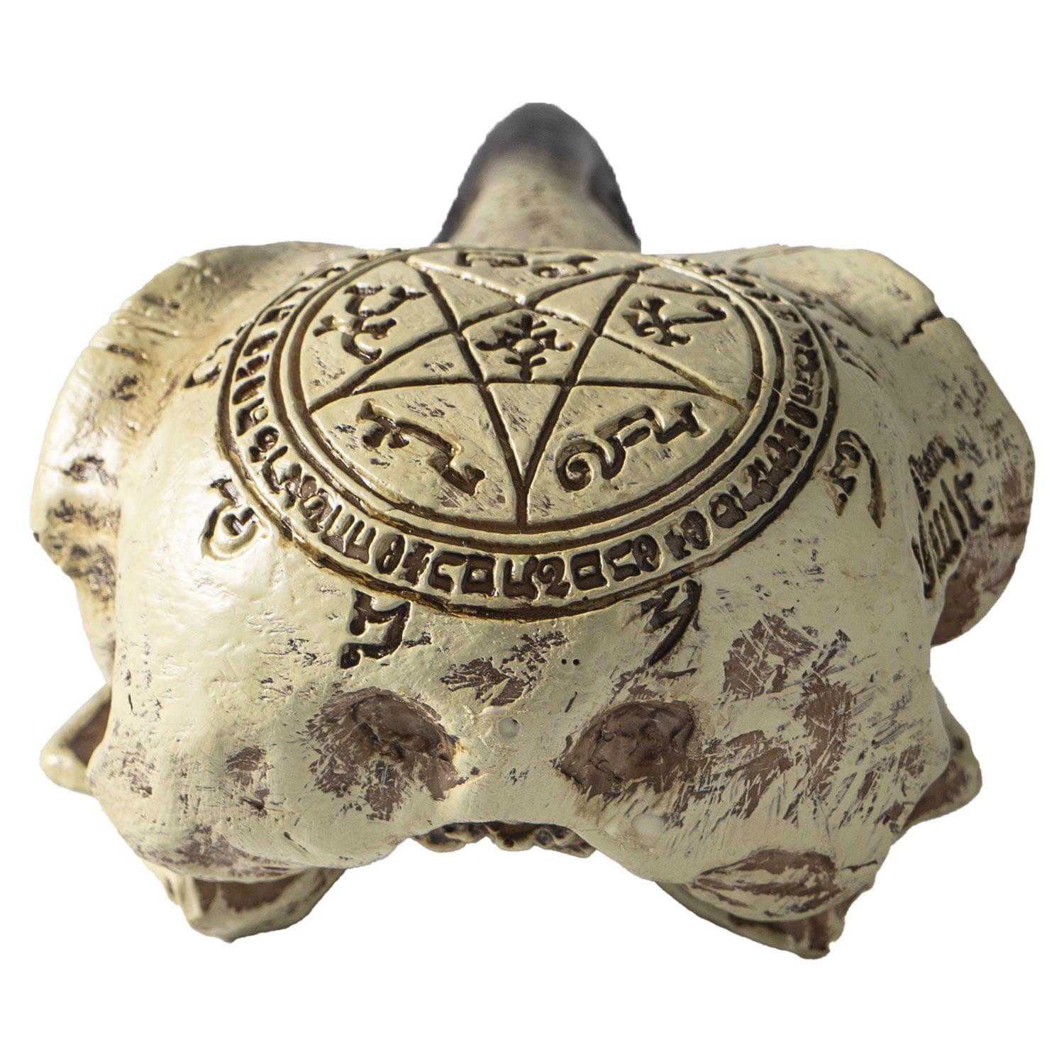 Ebros Pentagram Omega Alchemy Raven Crow Skull Figurine with Carved ...