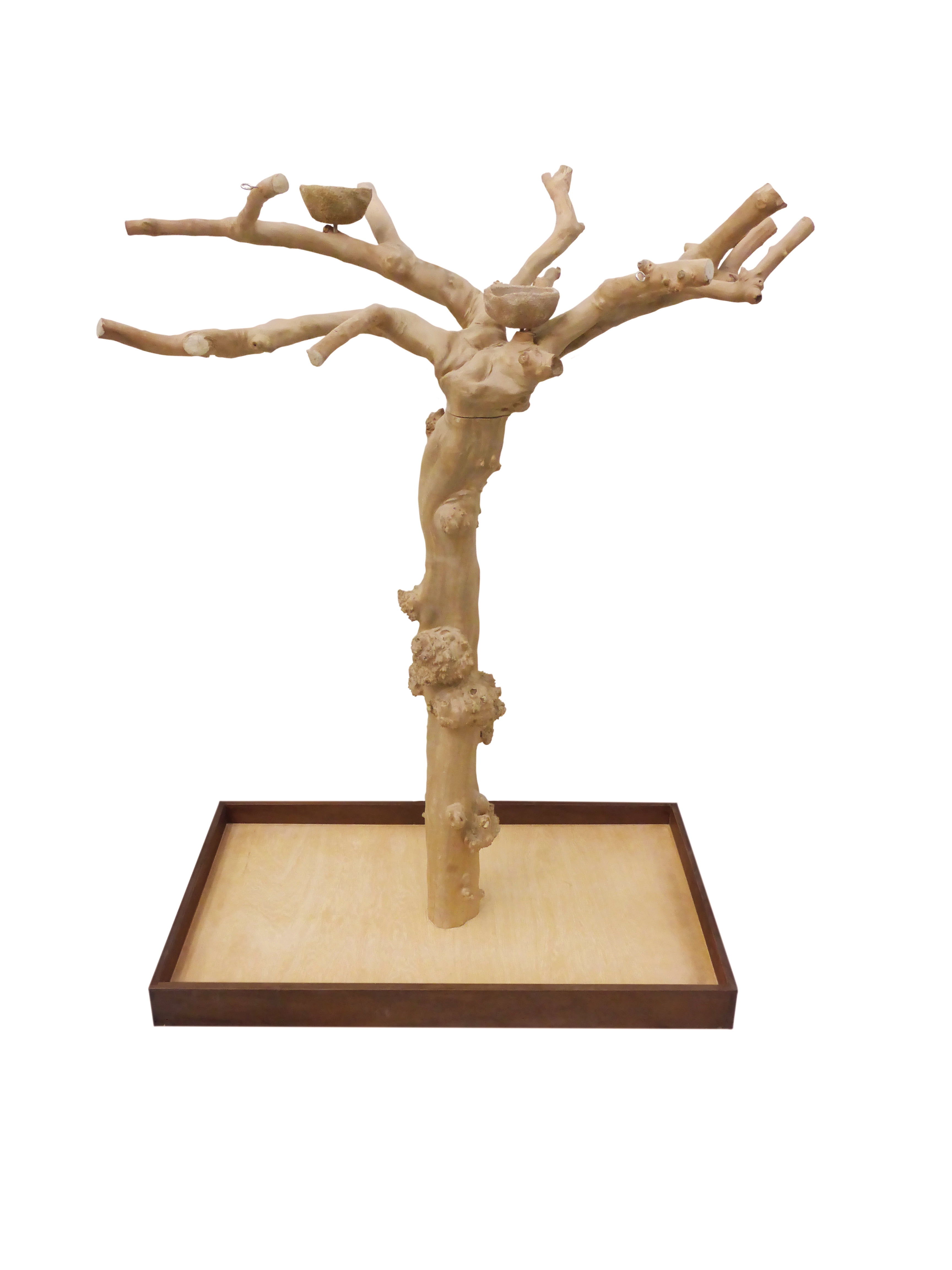 Prevue Pet Products Coffeawood Java Tree Large Floor Playstand Style #2 ...