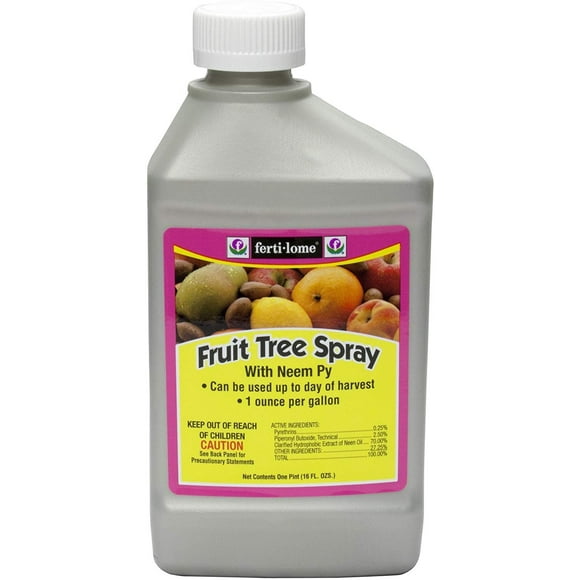 Spraying Fruit Trees