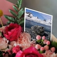 3drose, Weddell Seal, Beach, Western Antarctic Peninsula-an02 Ska1143 ...