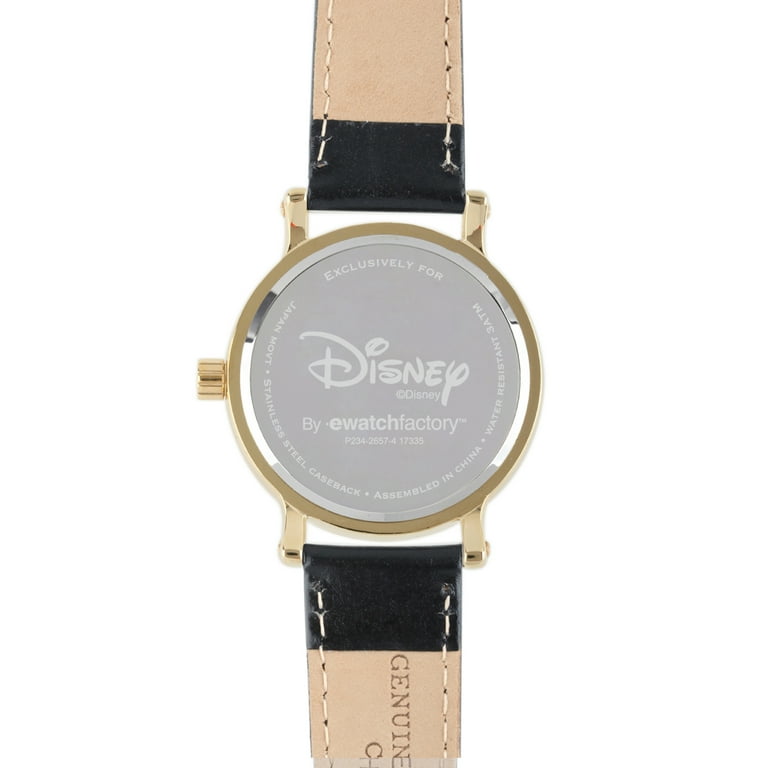 Disney Villains Watch
