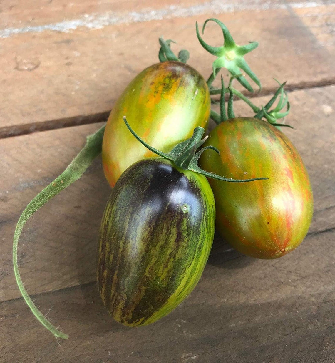 Atomic Grape Heirloom Tomato Premium Seeds Packet - Walmart.com
