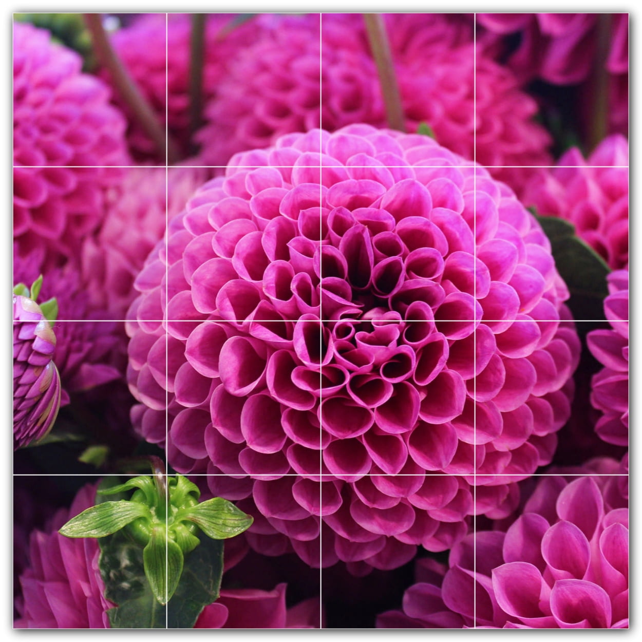 Picture-Tiles.com: Flowers Ceramic Tile Wall Mural WAL500634-44L. 32"W ...