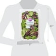 Marketside Organic Spring Mix Salad Blend 16 oz Clam Shell, Ready to ...