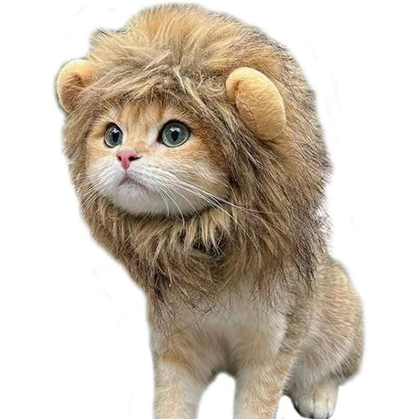 Cat Lion Mane Wig with Ears Puppy Lion King Costume Funny Small Dog ...