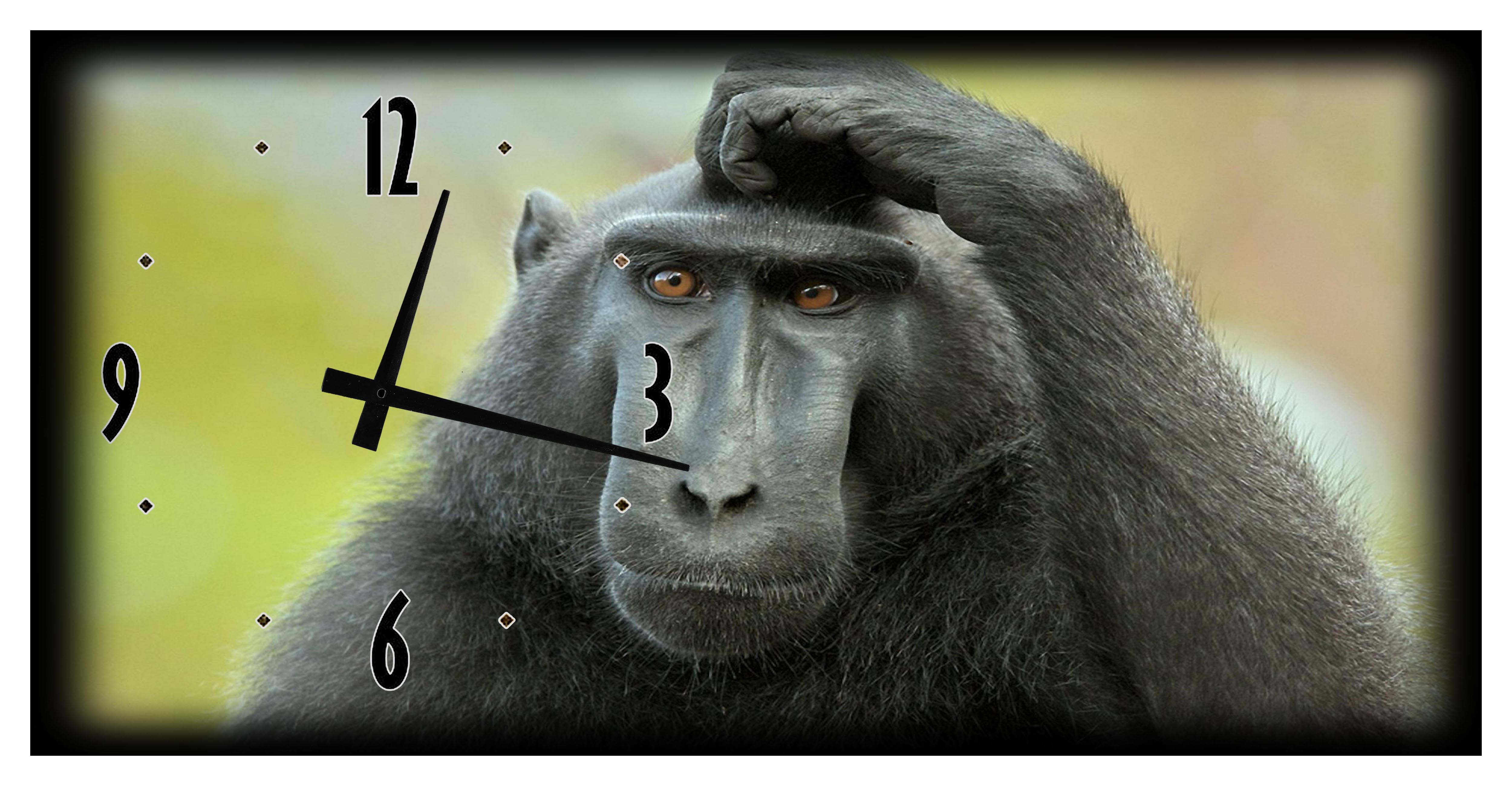 Confused Monkey Face