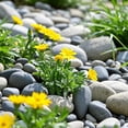 River Rocks for Landscaping, 40lbs Aquarium Rocks, 2-3 Inch Black ...
