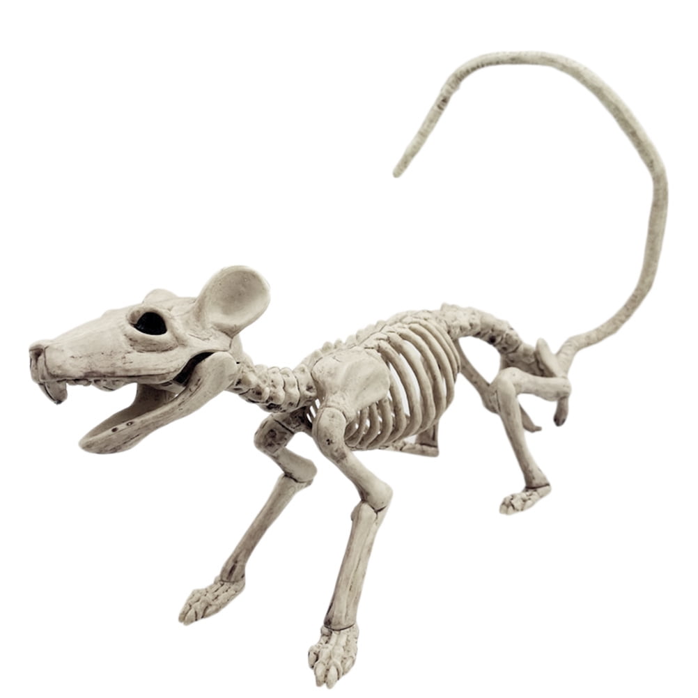 Click here for Estink Halloween Party Decoration Animal Skeleton... prices