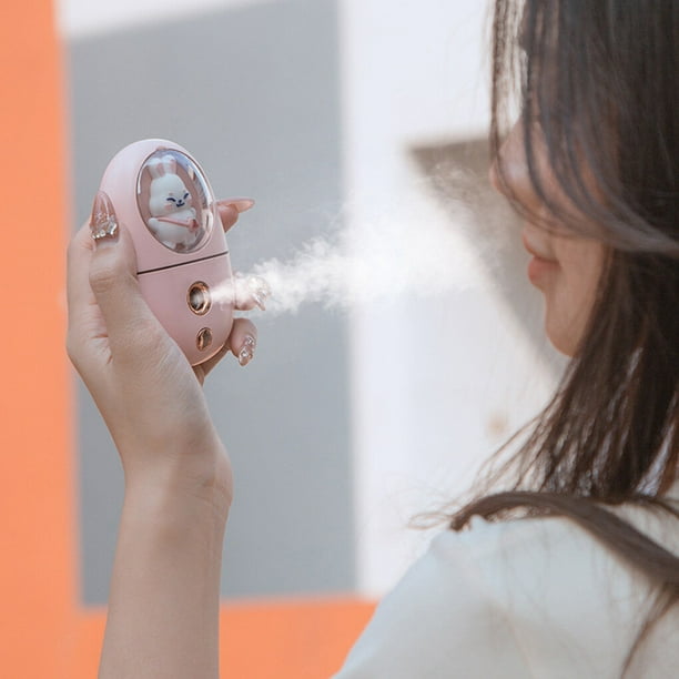 ziyahi Mini Facial Humidifier Mist Sprayer Skin Hydration Face Steamer ...