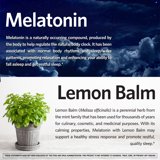 Spring Valley Extra Strength Melatonin Tablets Dietary Supplement, 10 ...