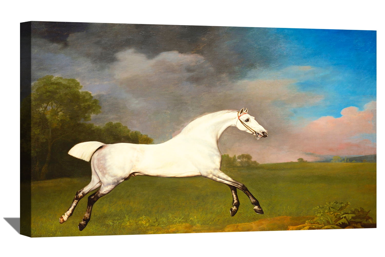 George Stubbs Paintings Sporting Art Print A Gray Horse Canvas Art ...