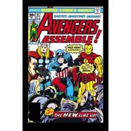 Invincible: Invincible Volume 23: Full House (Paperback) - Walmart.com