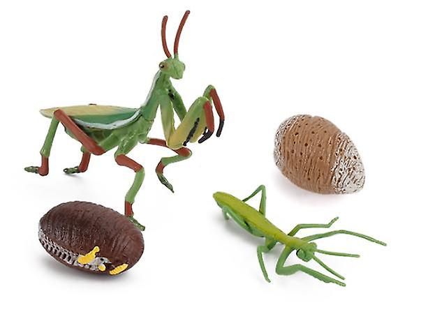 Insect Toy Wild Animal World Figures Model Insect Figures Insect Model ...