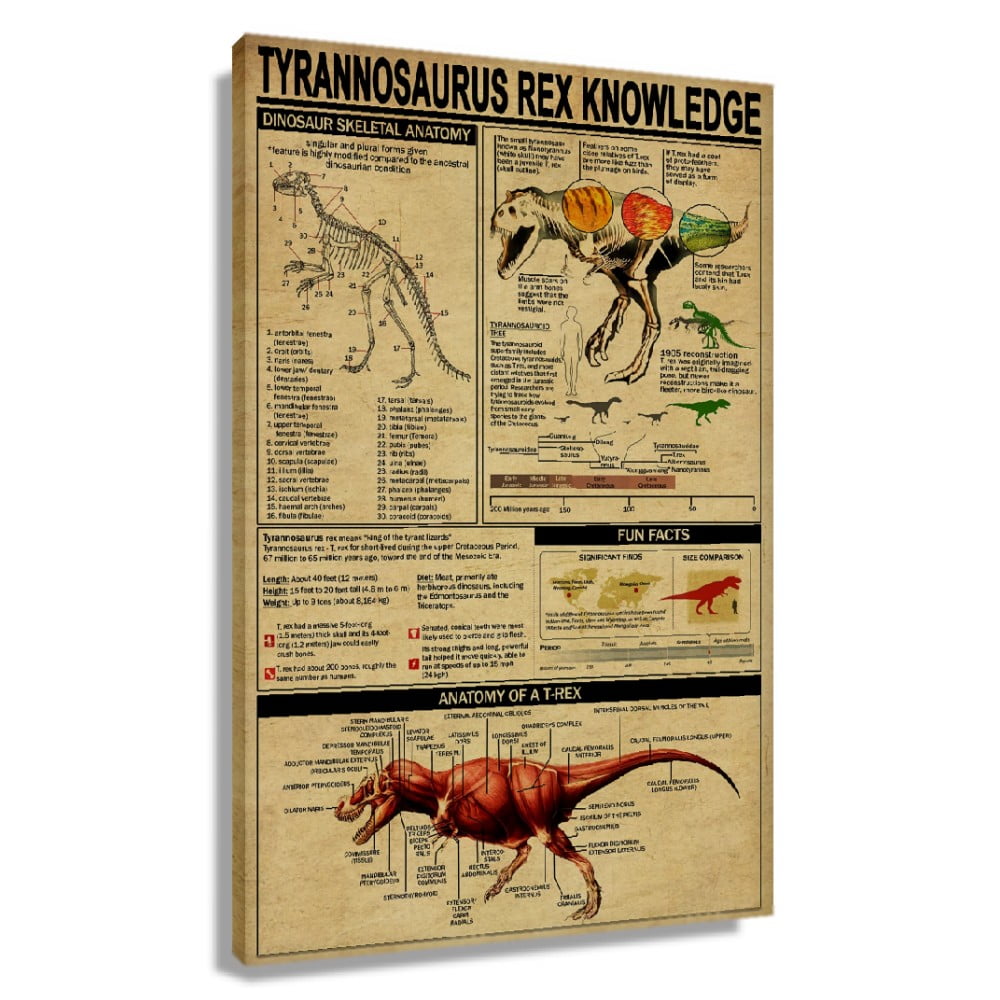 Dinosaur Knowledge Poster Tyrannosaurus Educational Wall Art ...
