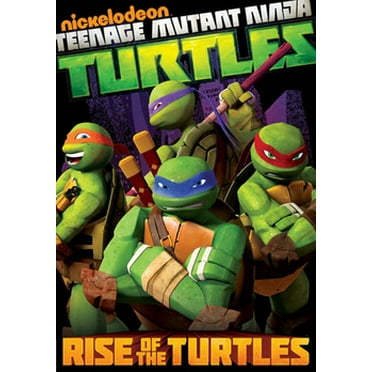 Teenage Mutant Ninja Turtles Complete Series (DVD) - Walmart.com