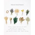 DIY Natural Dried Flower Set, Bulk Dried Flowers for Vase, Dried ...