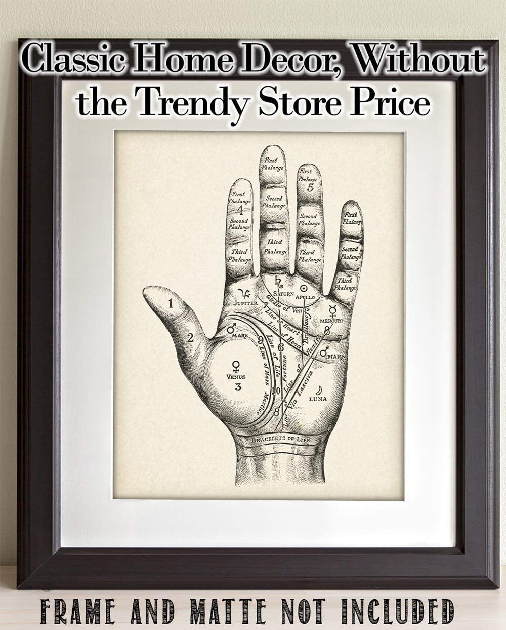 Vintage Palm Reading