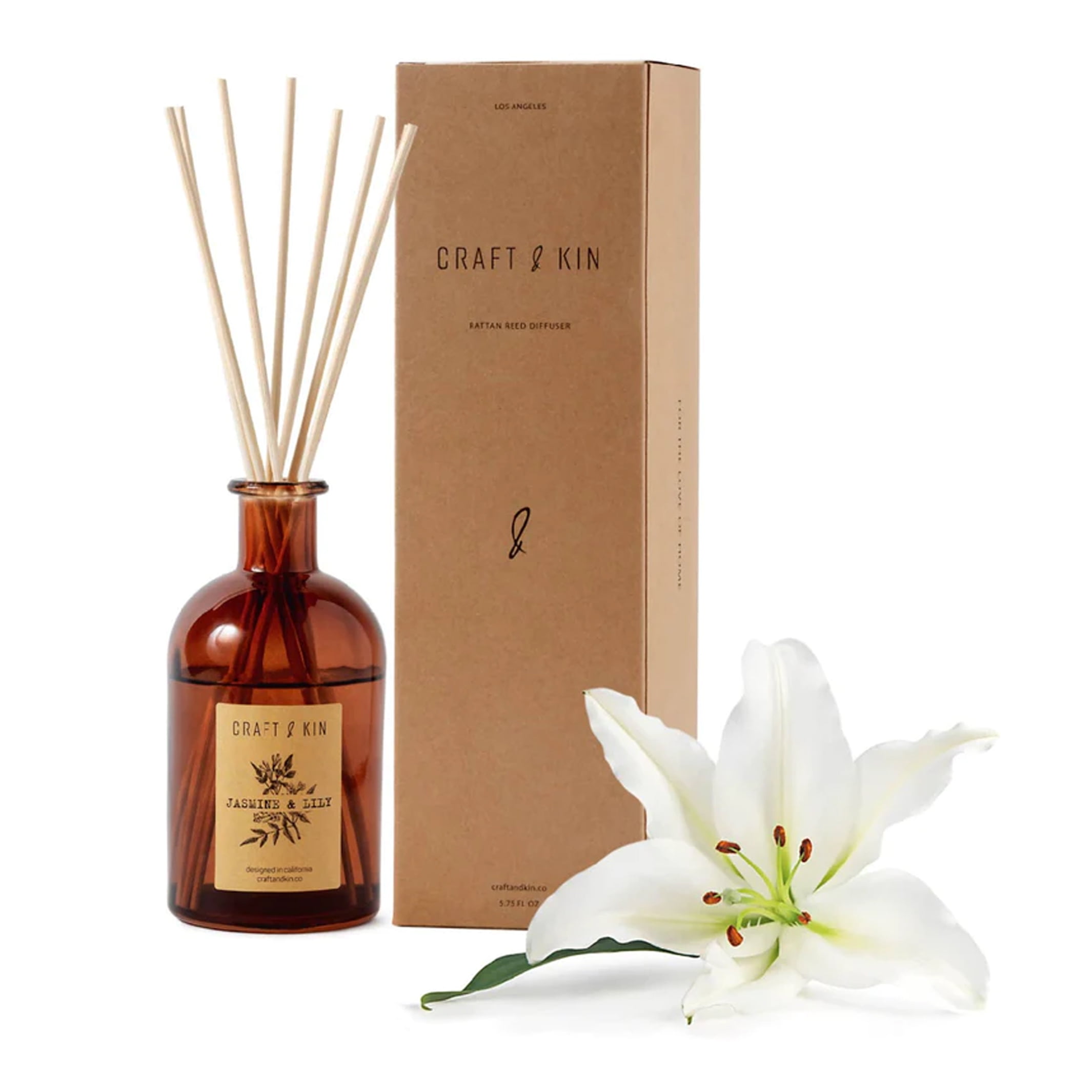 Craft & Kin Amber Glass Reed Diffuser Set - Patchouli & Amber (5.75 oz ...