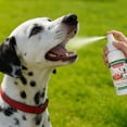 100ml Pet Dental Cleaning Spray, Tartar Removing Breath Freshener, Non ...
