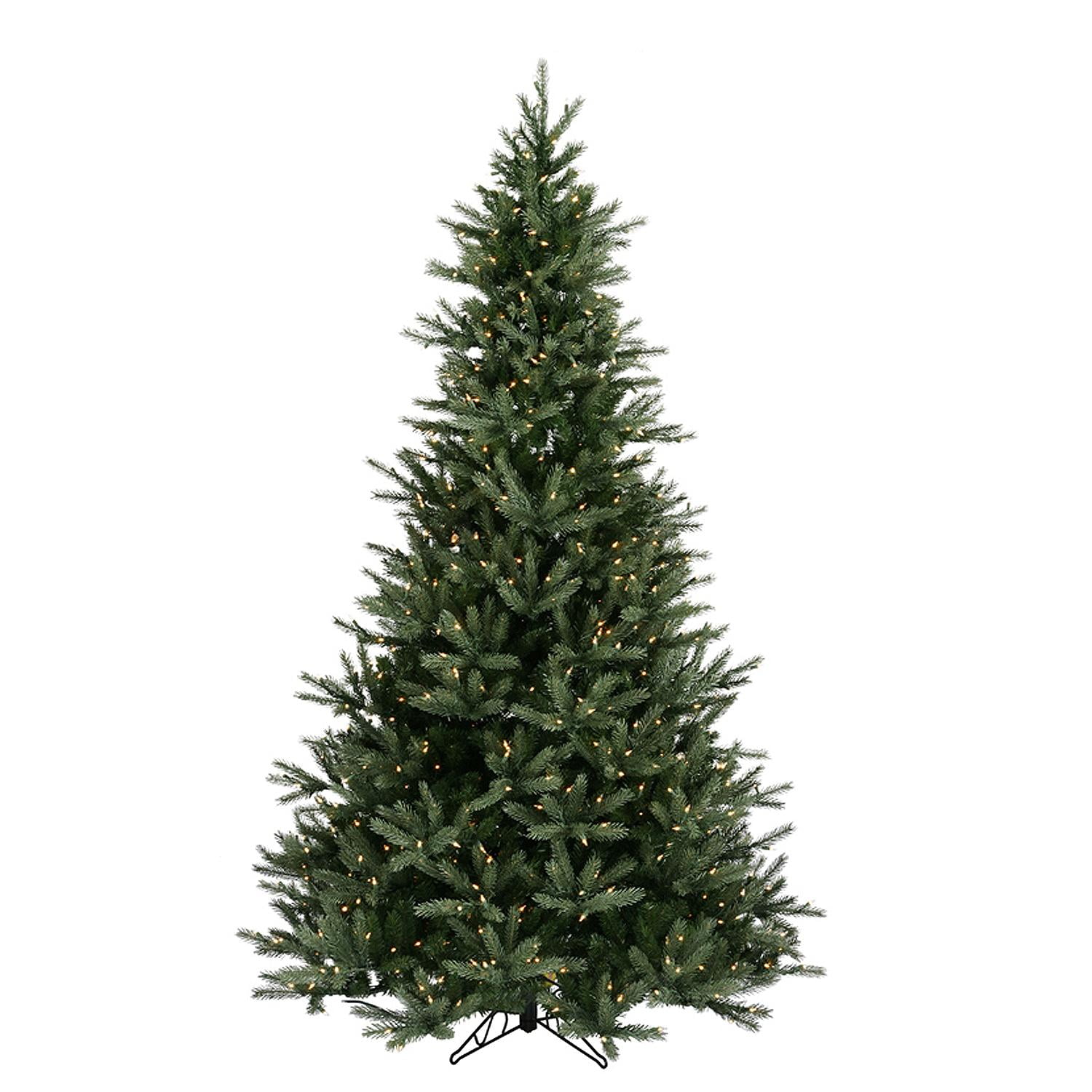 Frasier Fir