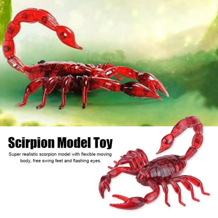 RC Scorpion Model, 3 Different Frequencies Available RC Scorpion ...