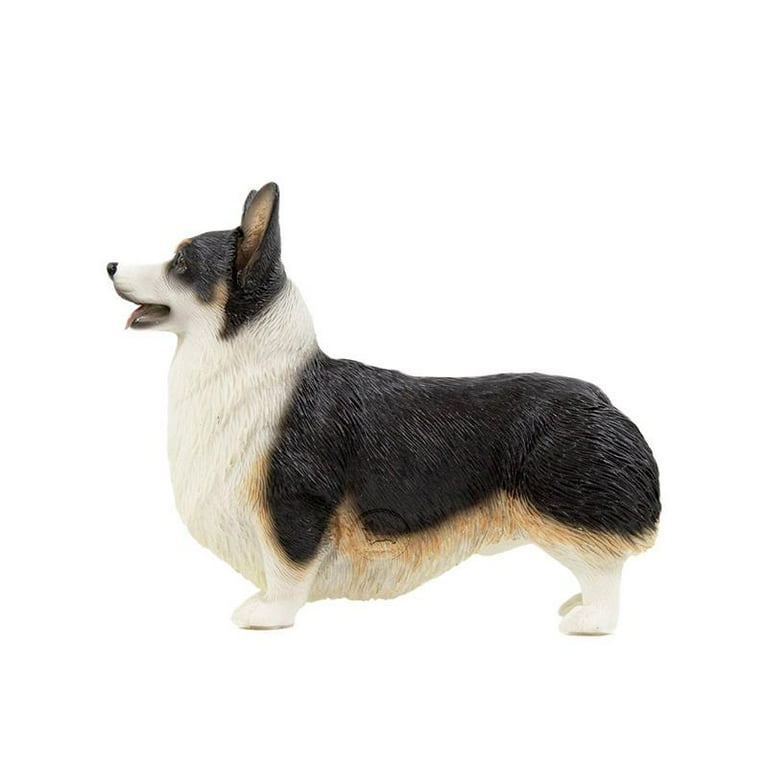 Average Size Of A Corgi | ppgbbe.intranet.biologia.ufrj.br