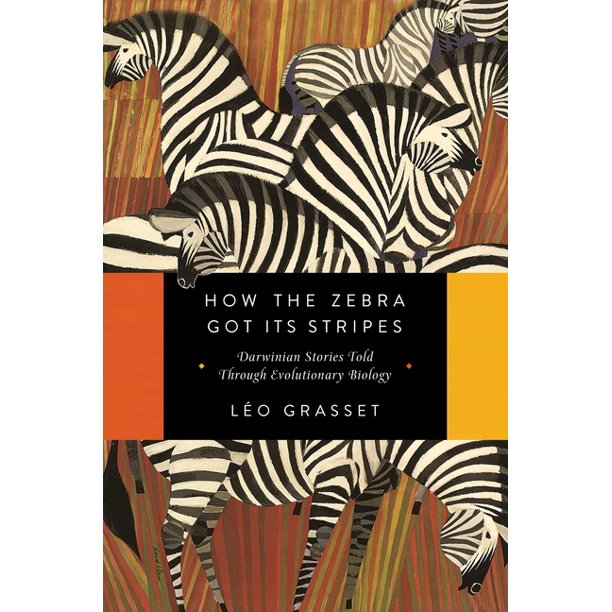 How the Zebra Got Its Stripes (Paperback) - Walmart.com