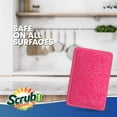 Scrub and Wipe Scrubbing Pads [10 Pack] - Dual Sided Scouring Pad and ...