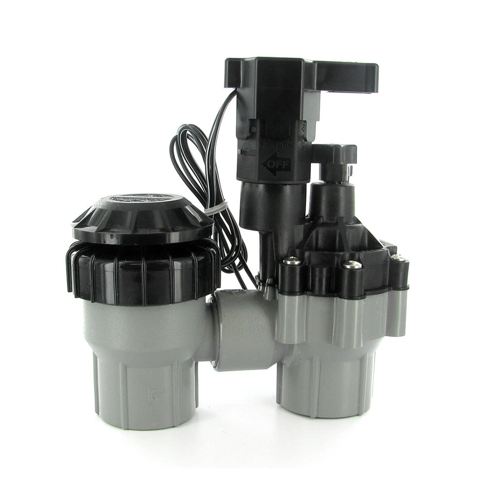 Rain Bird ASVF Anti-Siphon Valve with Flow Control 1 in. FPT | 100-ASVF ...