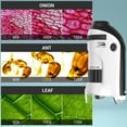 BEBANG Pocket Microscope, 60X-135X Magnification, Portable Small ...