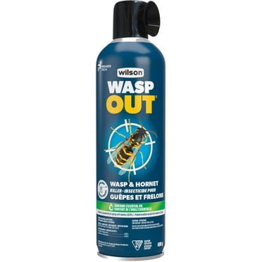 CRC Wasp and Hornet Killer Insecticide, 14 Ounce, Fast Acting with Long ...