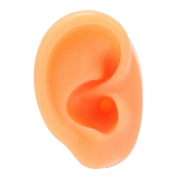 Acupuncture Ear Model,Silicone Ear Model Soft Human Ear Model Soft ...