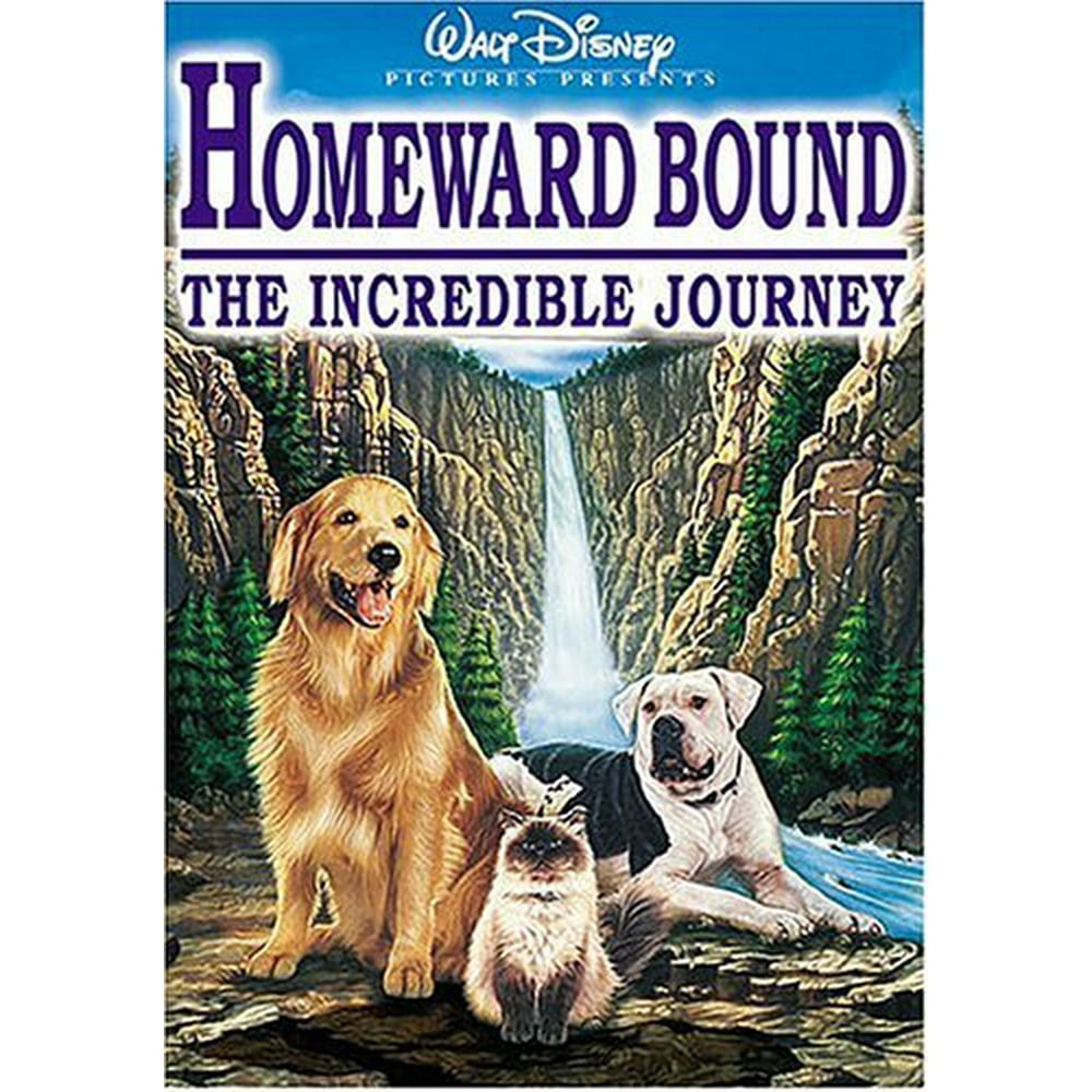 Homeward Bound: Incredible Journey (DVD) - Walmart.com - Walmart.com