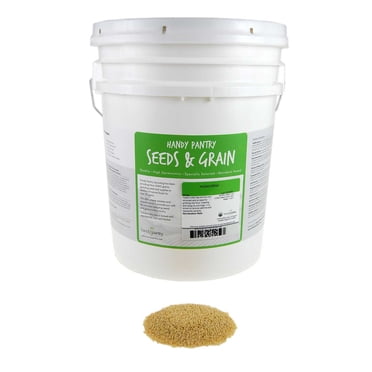 Organic Whole (Hull Intact) Millet Seeds: 5 Lb - Cereal Grain ...