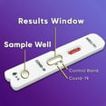WELLlife COVID-19 Rapid Antigen Home Test Kit, 2 Tests per Kitbox with ...