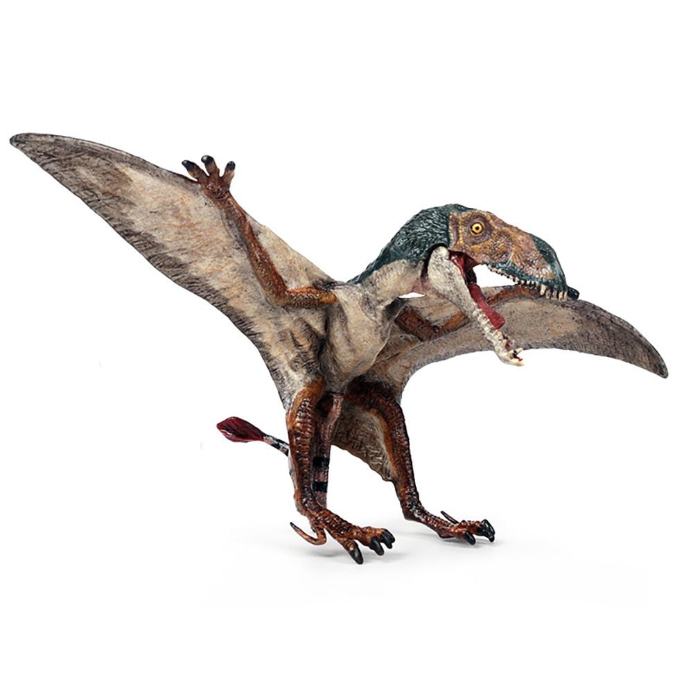 Realistic Educational Toy Science Nature Early Learning Lifelike ...