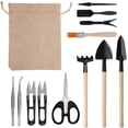 10Pcs Mini Succulent Gardening Tool Set, Plant Transplanting & Potting ...