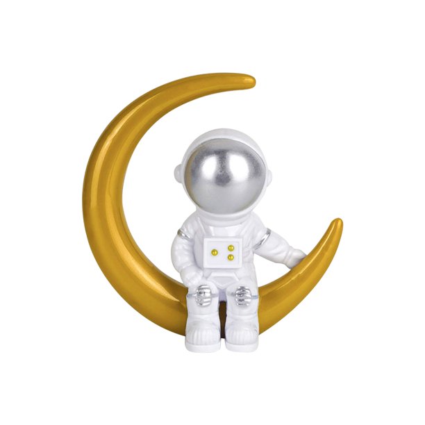 Astronaut Space Food Sticks