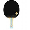 DHS Ping Pong Paddles Professional Table Tennis Racket with Hurricane ...