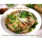 Harvest 2000 Vietnamese Pho Broth Mix 16 oz, Authentic Flavor, makes 45 ...