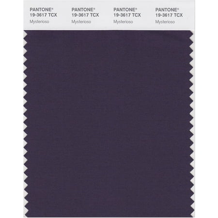 PANTONE SMART 19-3617X Color Swatch Card, Mysterioso | Walmart Canada