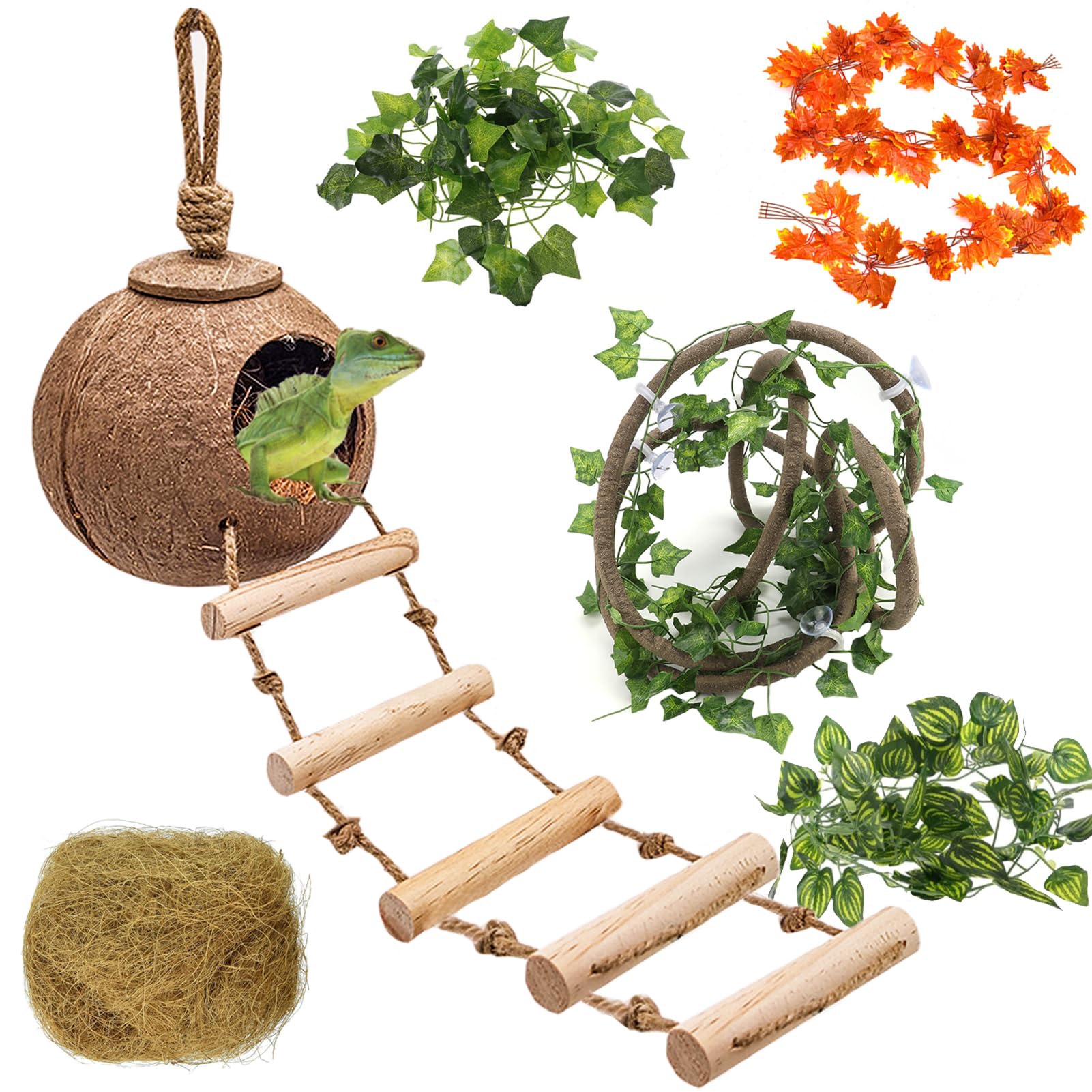 Accesorios para tanques HERCOCCI Leopard Gecko con cáscara de coco ...