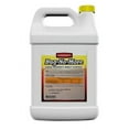 Gordon's 7241072 Bug-No-More Large Property Insect Control Concentrate ...