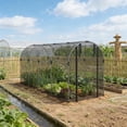 Crop Cage Garden Plant Protector – 47.25"x141.75"x74" Walk‑In Plant ...