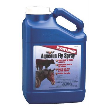CB-80 Aerosol Insecticide - Indoor & Outdoor Bug & Pest Eliminator ...